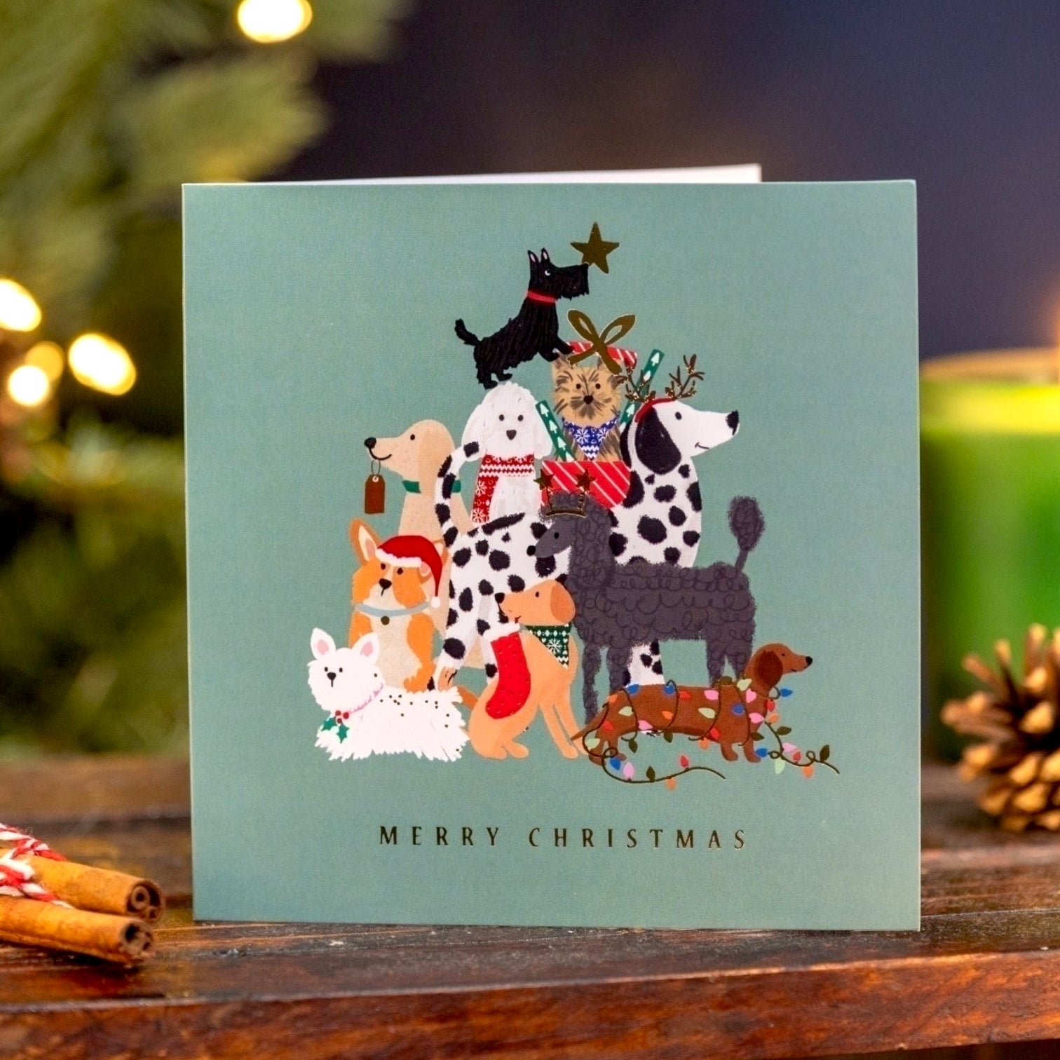 Christmas Dogs Card - Pack of 8 | Shop from Crisis Online